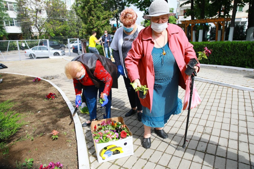 Vârstnicii au plantat flori și copaci în curtea căminului | FocusPress