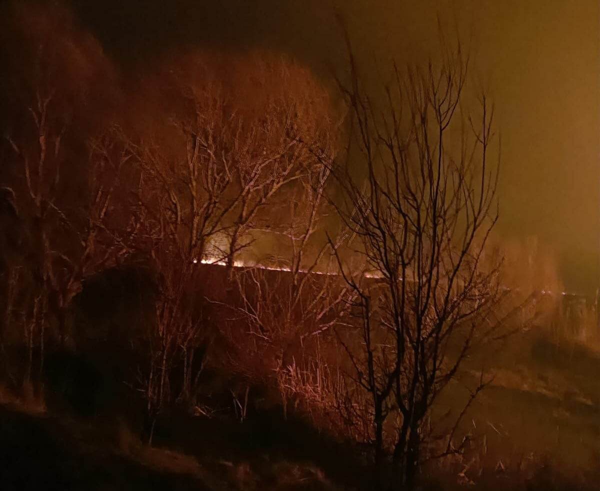 Incendiu de vegetaţie uscată şi stuf în Delta Dunării: flăcările s-au ...